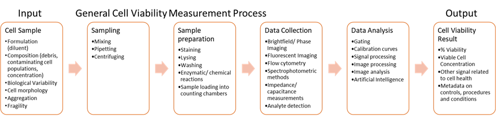 General Cell Viability Measurement Process General Cell Viability Measurement Process